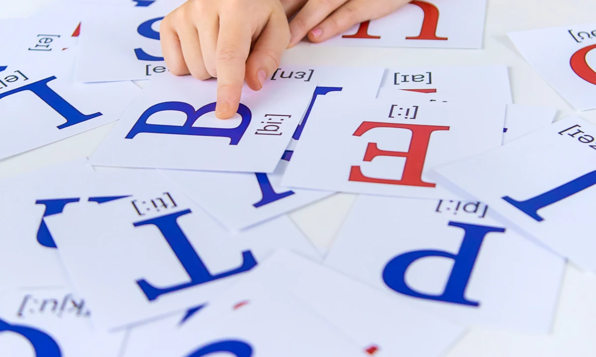 Development Support and Learning Support (DS-LS)